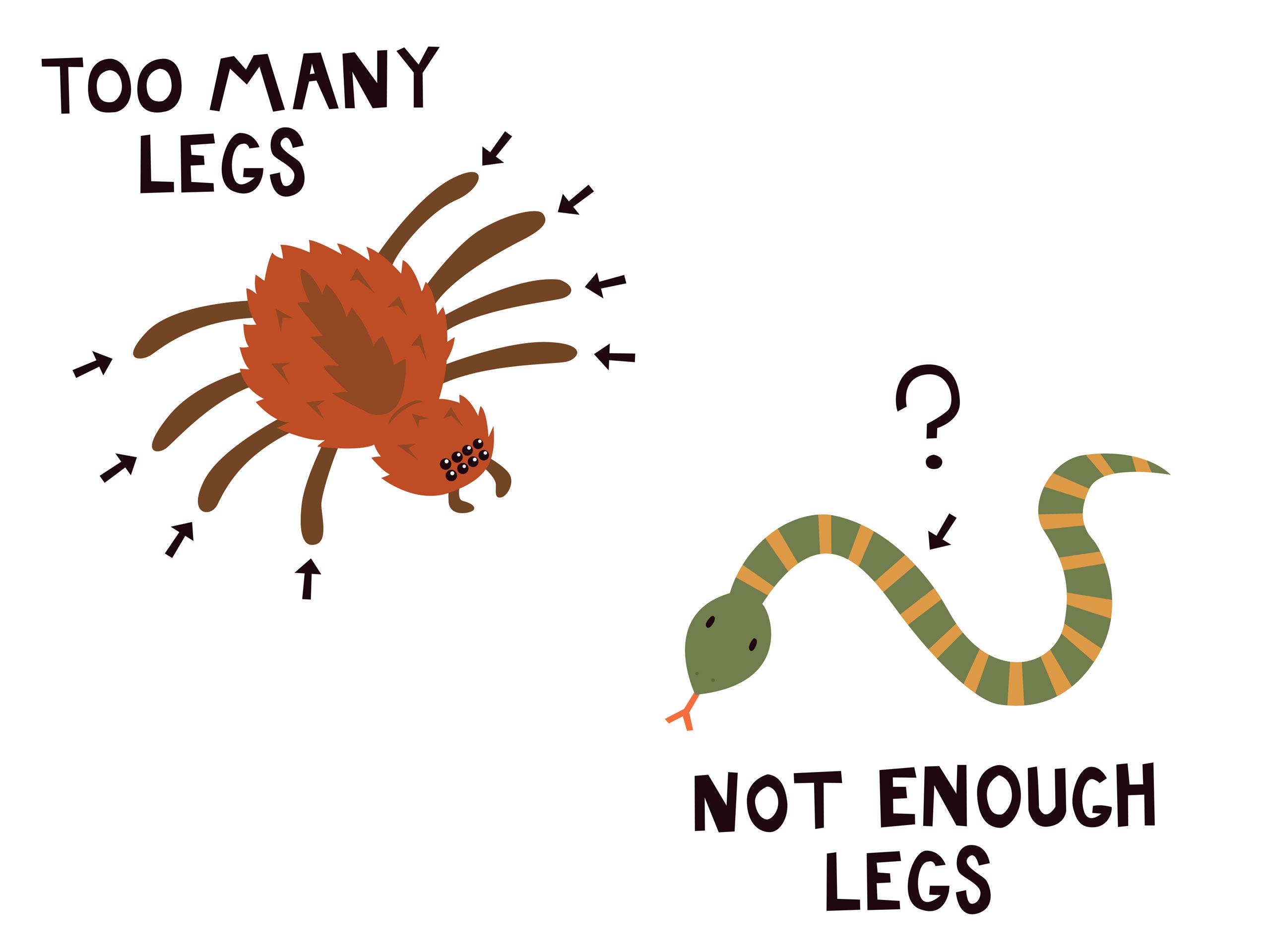 Spiders Versus Snakes. Scuttle or slither on over here. | by Ysabel ...