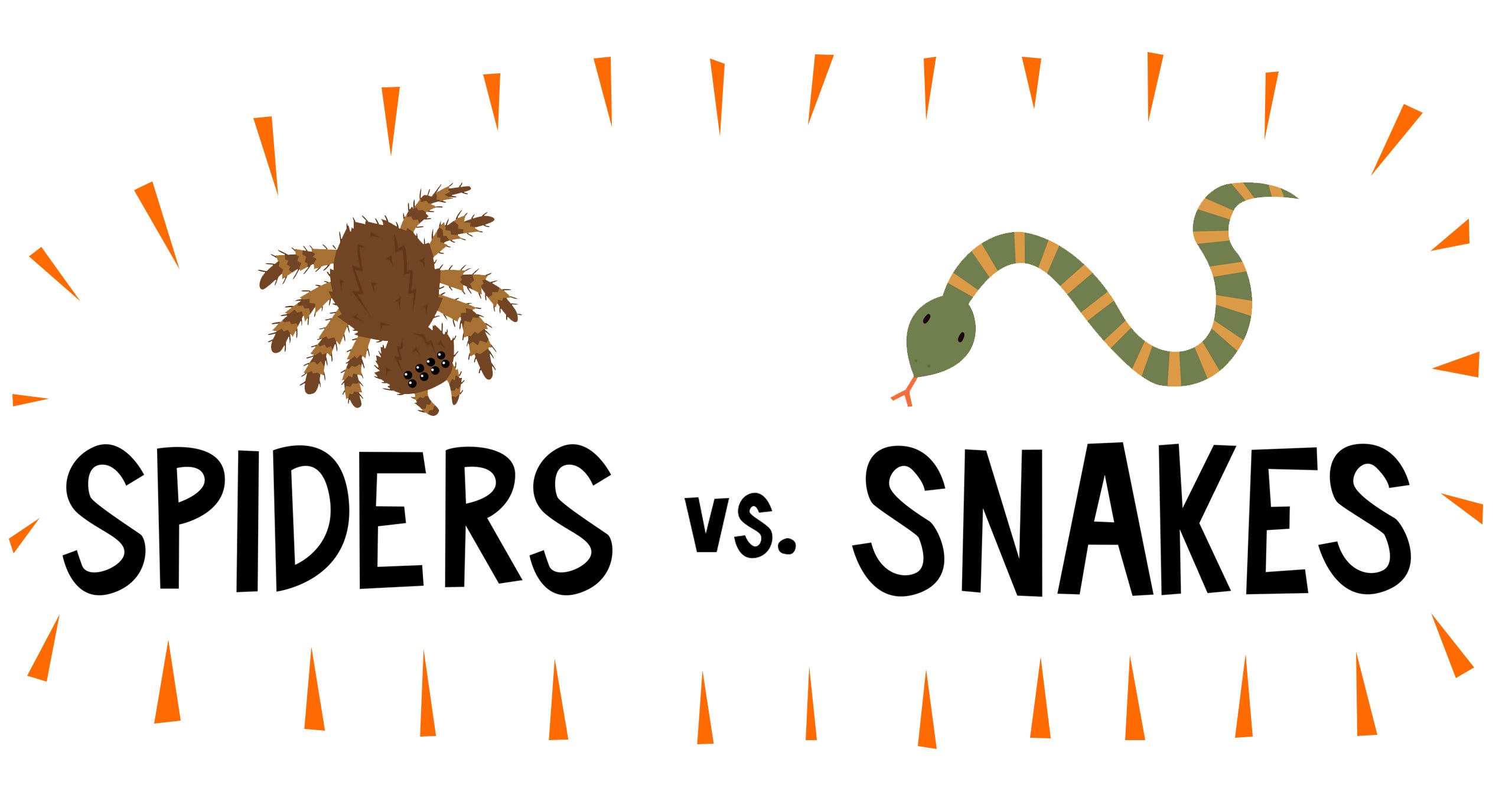 Spiders Versus Snakes. Scuttle or slither on over here. | by Ysabel ...