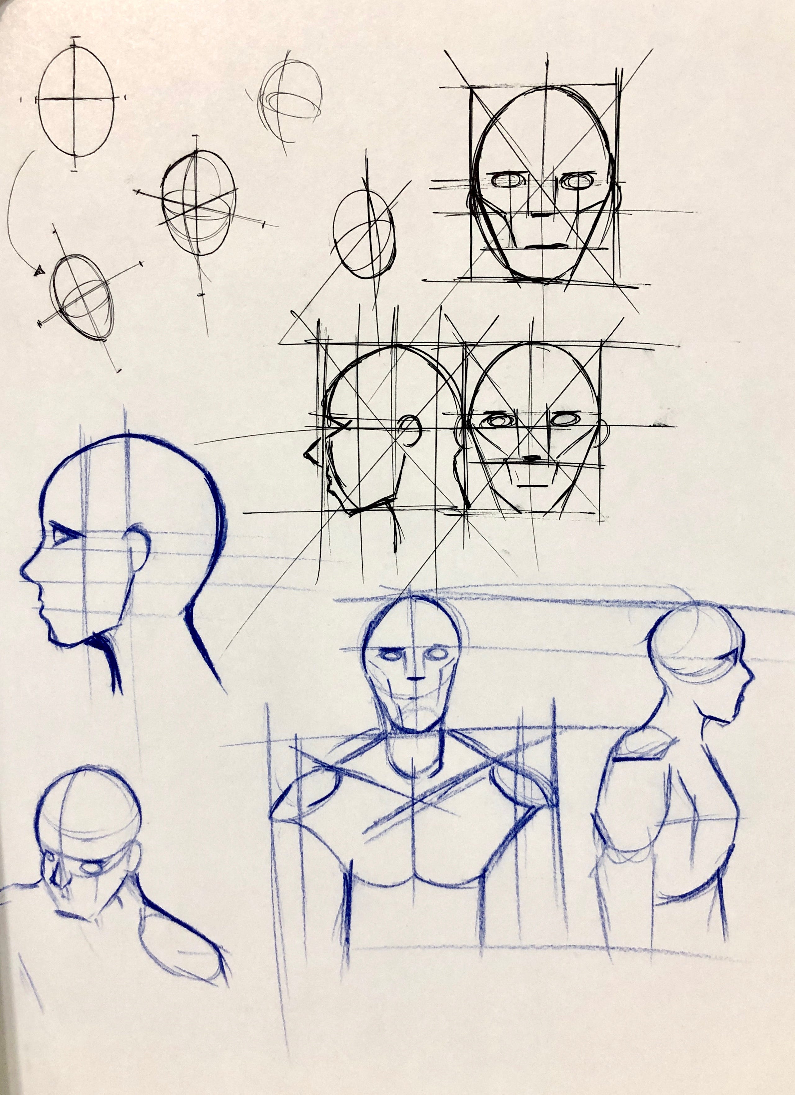 Gestural Drawings. In the beginning, we practiced the… | by Shannon Lin ...