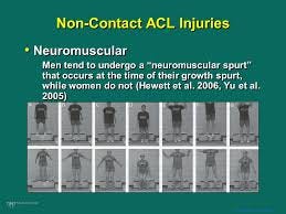 Developing the Young Female Athlete | by Emily Pappas | Developing the ...