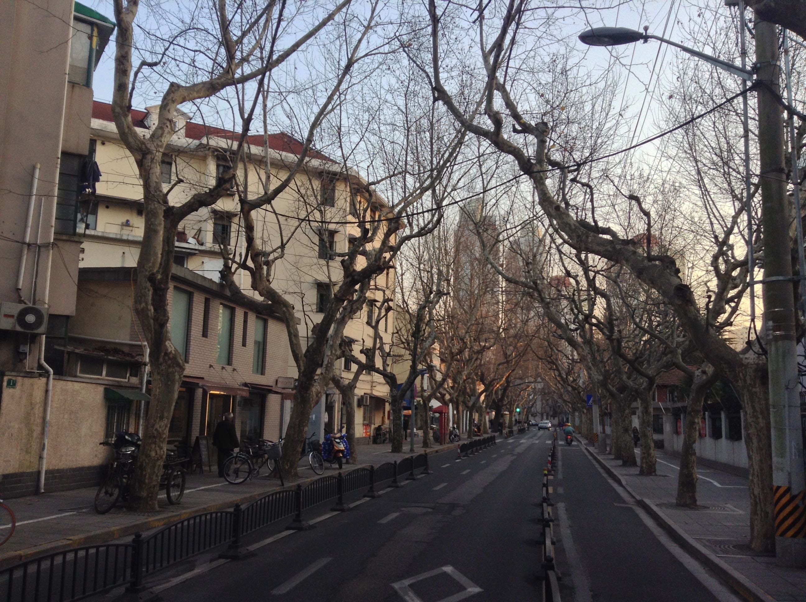 Walk around Shanghai: Tianping Road | by Gregory Terzian | Walks around ...