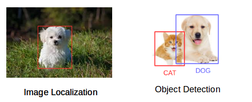 [45 ] Image Classification Vs Object Detection