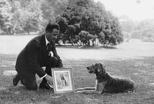 Dogs and Horses and Raccoons — Oh My! Some Crazy Presidential Pets | by ...