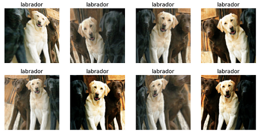 Building Deep Learning Projects With Fastai — From Model Training To Deployment Kdnuggets