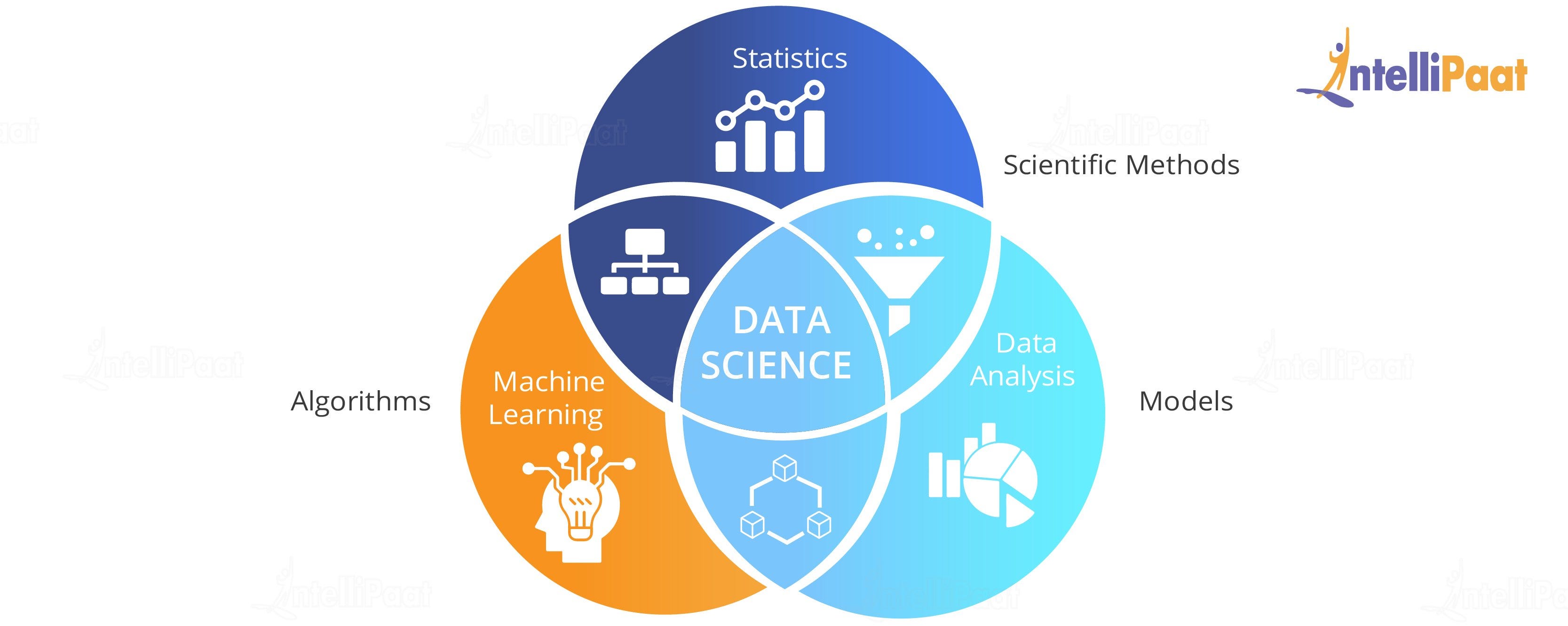 Which Area of Data Science is Right for You, and Do You Need to Be ...