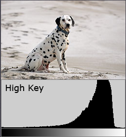 First Steps to the OpenCV-Python. You can go to my Github account to ...