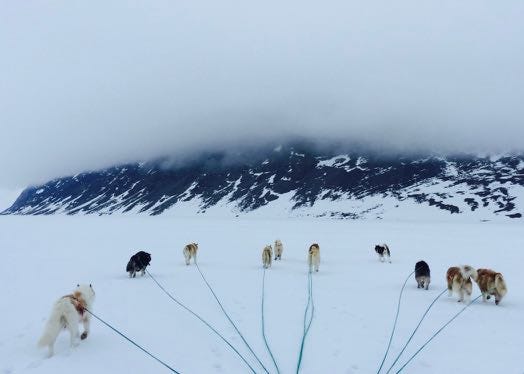 My 5 Most Impactful Experiences in Igloolik, Nunavut. | by Greg ...