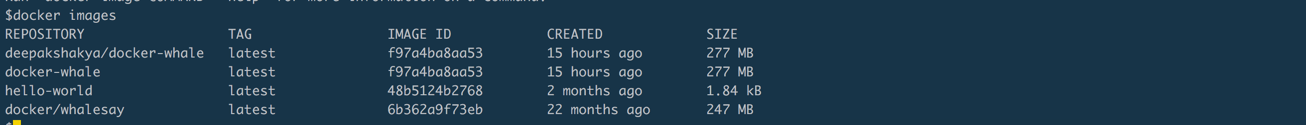 Beginner’s guide to use docker (Build, Run, Push and Pull) | by Deepak Shakya | Medium