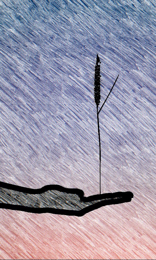 Haiku Balance Daily Dose Of Philosophy By Kayo Zaduban Illumination Medium