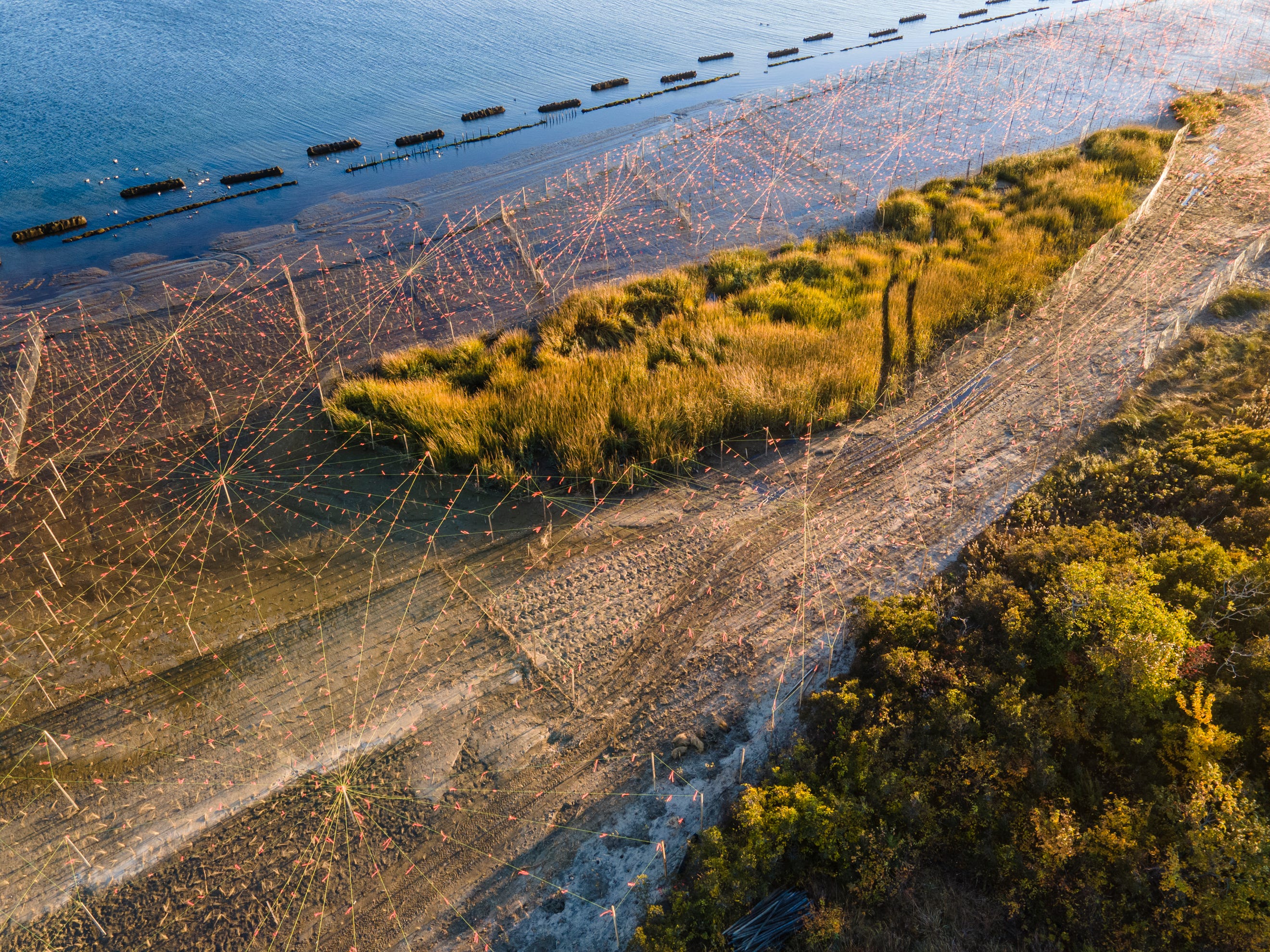 Jamaica Bay Living Shoreline Project | by NYC Water Staff | NYC Water ...