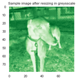 Using classification models to detect dog breed from images | by Emad ...