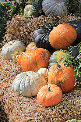 Kernel convolution, for image processing | by Edwin Márquez | Medium