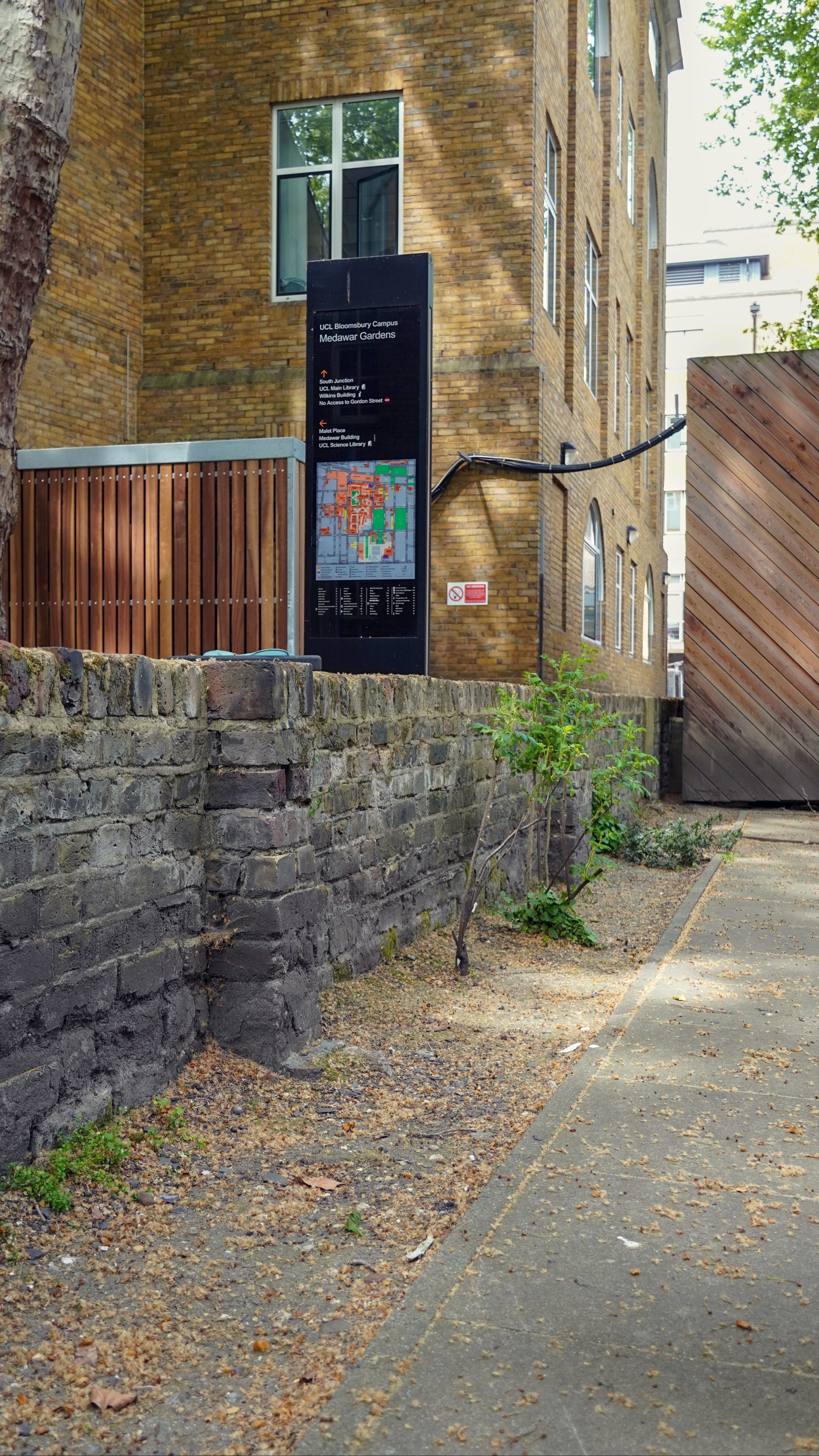 UCL Medawar Gardens — Students’ Rewilding Initiative | by Aude Vuilli ...