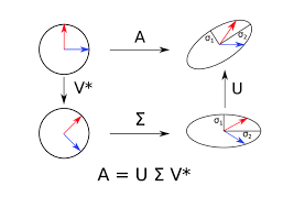 Understanding of Matrix Factorization (MF) and Singular Value ...