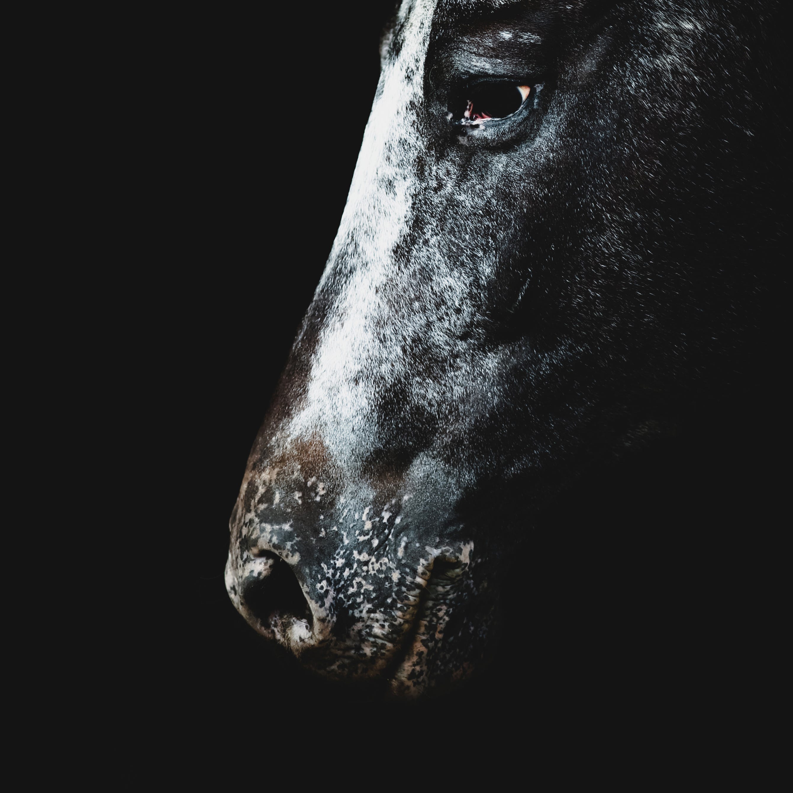 Interview: Nikki de Kerf. Photographer Nikki de Kerf (b. 1989) is… | by ...