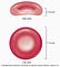 Advantages of Biconcave disc of RBC- | by Simran Khan | Medium