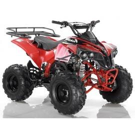 Gas Powered 125cc Gas ATV (All Terrain Vehicles) for Kids and Adults ...
