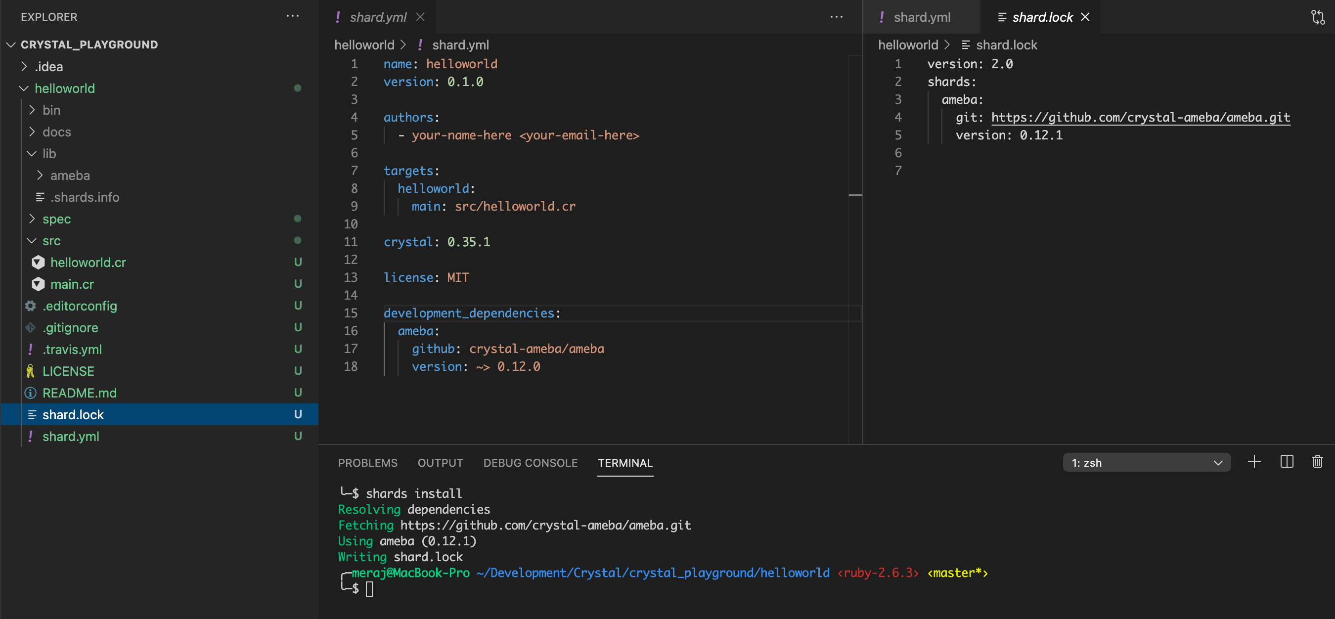 A First Look at Crystal Programming Language and its Ecosystem | by ...