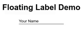 Creating a Floating Label Input in React using Functional Components ...