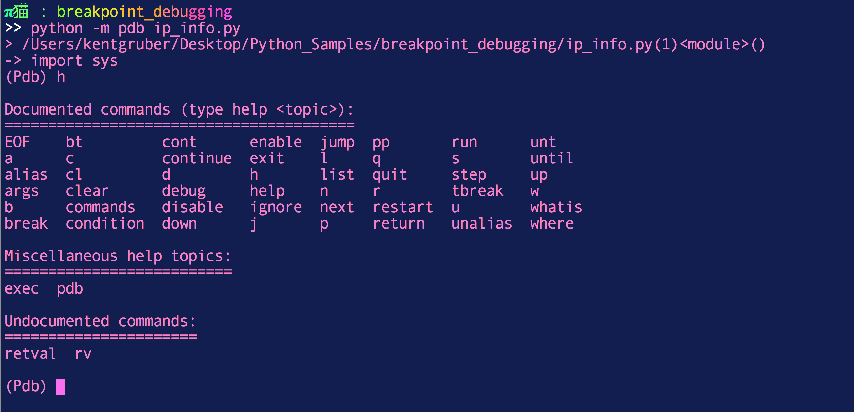 Python Debugging — Snake Wrangl’n | by Kent Gruber | Medium