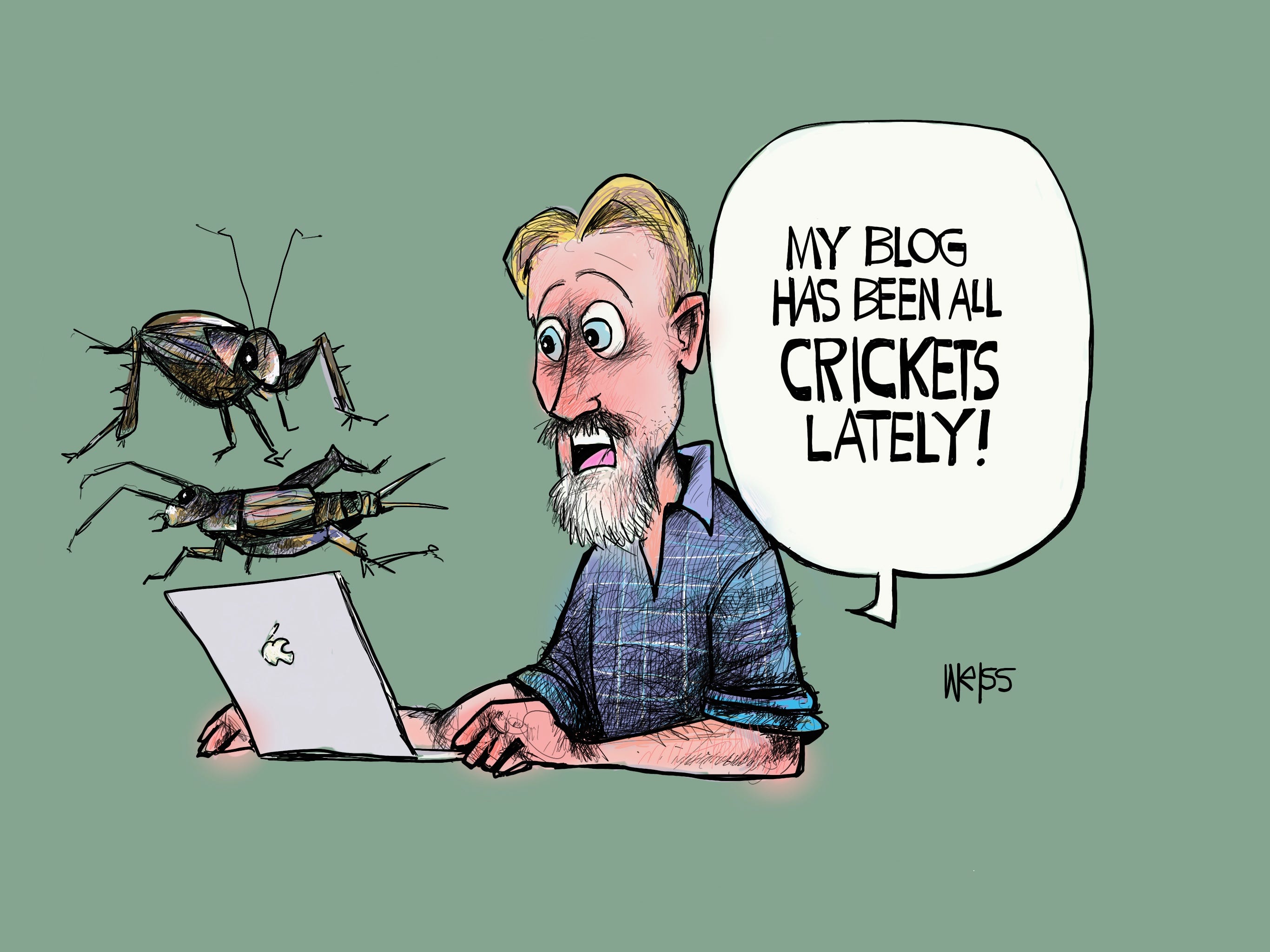 Do You Know Why You Need Crickets in Your Life? | by John P. Weiss ...