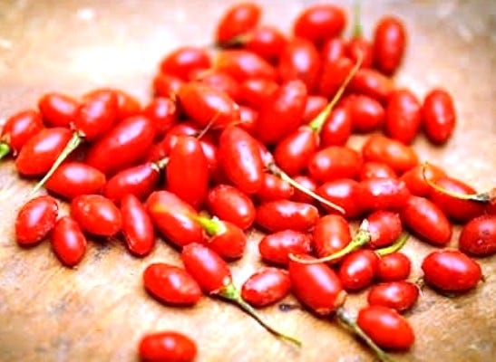 Superfood: Goji-bessen. Nog nooit van de Goji-bes gehoord? Dan… | by ...