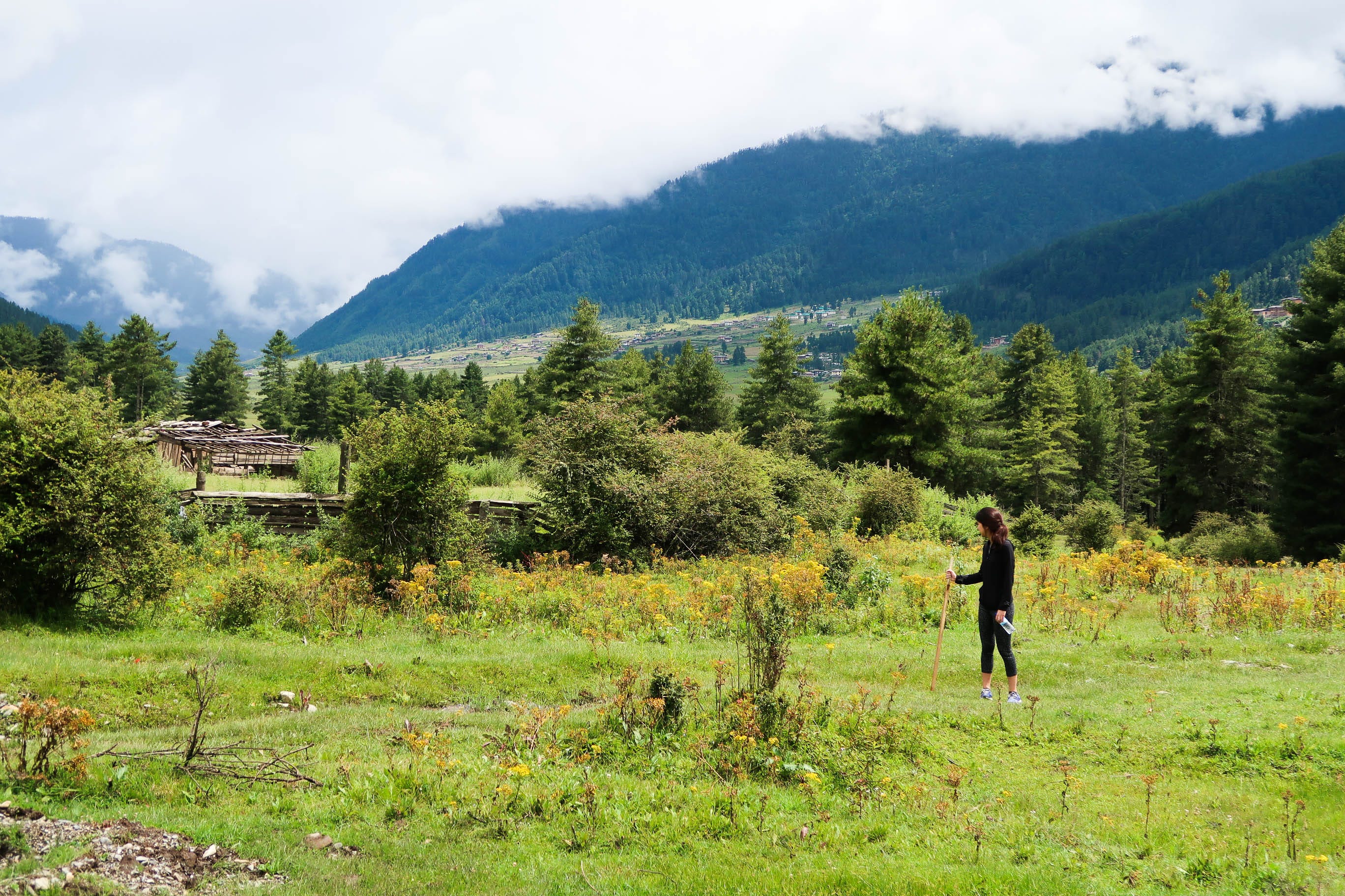Phobjikha Valley: A Nature Trail at the Last Shangri-La | by Guac ...