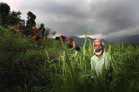 (Part I) Why traditional farming practices are Diminishing in Hilly ...
