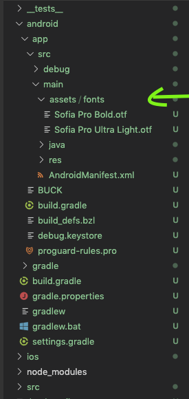 Setup React-Native Font: The Easy Way | by Anayo Oleru | Medium