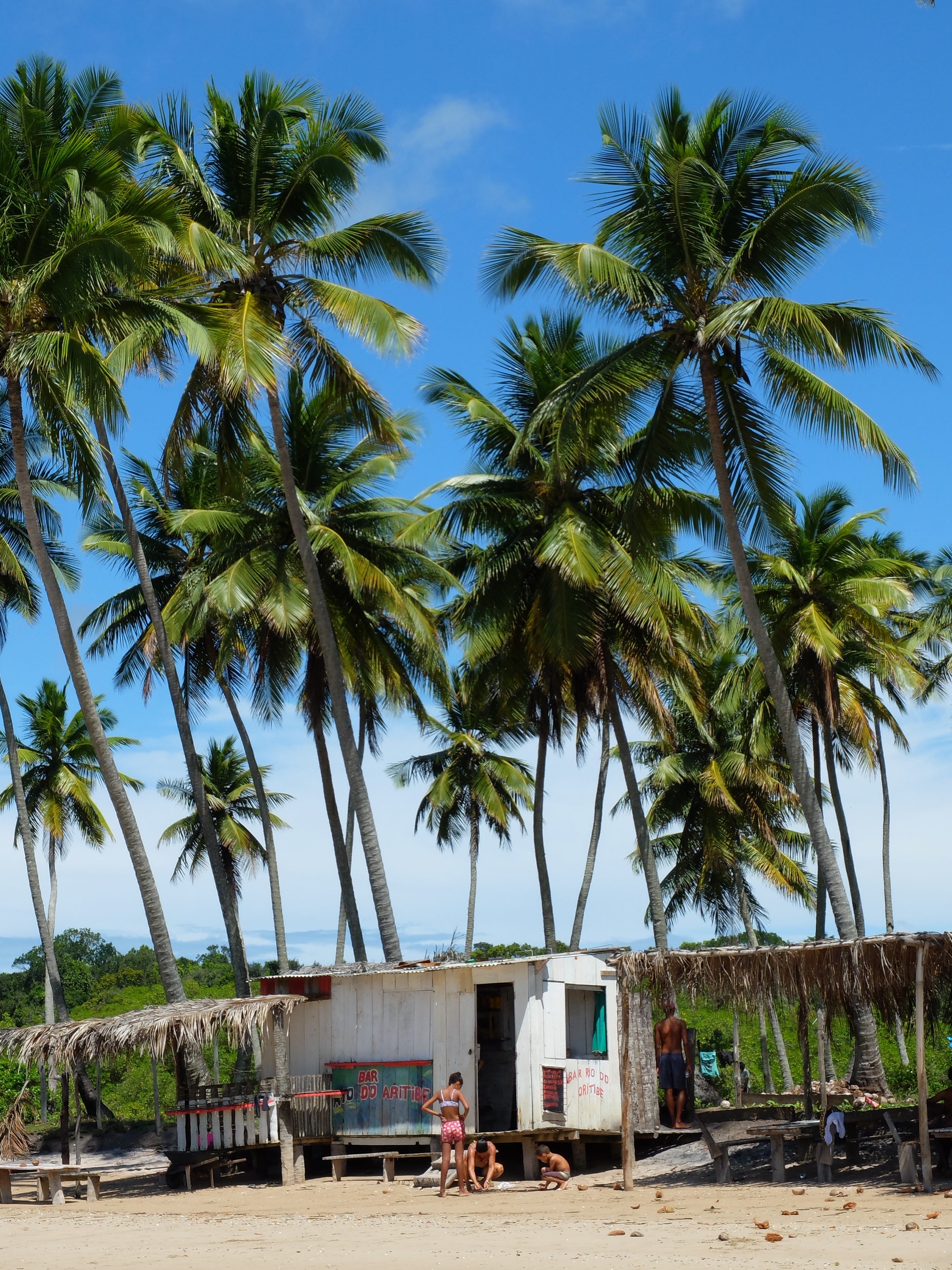 Ilha de Boipeba 🇧🇷. Le trajet jusqu’à Boipeba depuis… | by clem et greg ...