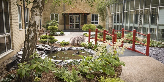 The restorative power of hospital gardens | by Doctor Yak | The Yak ...