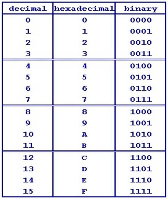 Why Encoding Matters: A Primer on Bits and Bytes | by 🐻TheDev | Medium