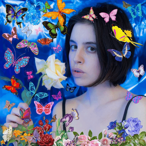 Interview: Molly Soda. Digital Objects featured artist Molly… | by Ryan ...