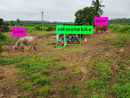 Object Detection Using Rcnn Algorithm By Shashikant