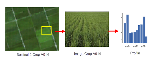 Sentinel-2 Satellite Imagery Classification for Crop assessment and monitoring | by chaipat ncm ...