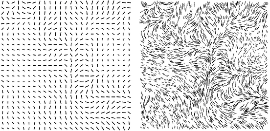 Visualization of a Vector Field. What goes into developing a new… | by ...