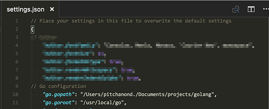 Debug Go ด้วย Visual Studio Code. เวลาเราจะ debug GoLang หลาย ๆ… | by Pitchanon Dumrongsiri | Medium