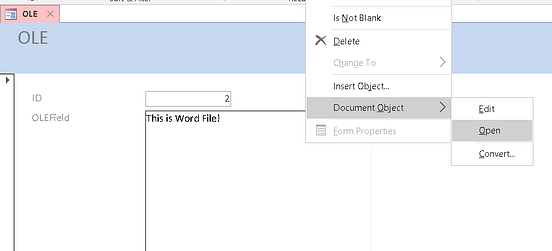 Export OLE fields in Microsoft Access | by Haggen | Medium