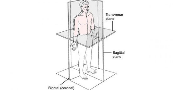 Understanding MRI scans. Magnetic Resonance Imaging (MRI) is… | by ...