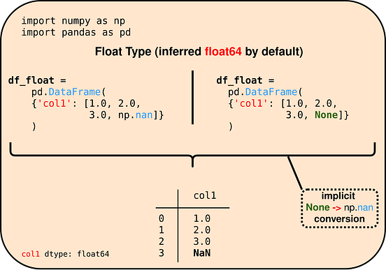 NaN, None and Experimental NA. Illustrated missing values conventions ...