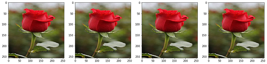 Understanding Image Augmentation Using Keras(Tensorflow) | by Sai Durga ...