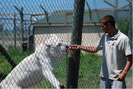 Primary Reasons Why You Should Visit The Zoo In Ottawa | by The ...