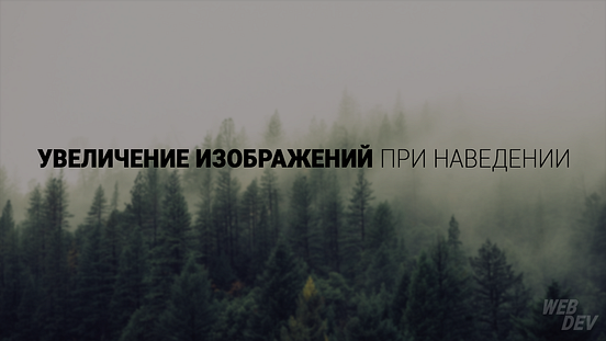 Увеличение изображений при наведении By Nikita Webbdev Medium