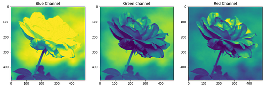 A quick guide to color image compression using PCA in python | by Iqbal ...