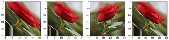 Understanding Image Augmentation Using Keras(Tensorflow) | by Sai Durga ...