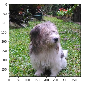 Introduction to Image Processing with Python — Image Representation for Beginners | by Tonichi ...