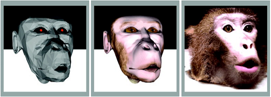 Total Recoil: The Uncanny Valley is an Uncanny Cliff | by Jessica ...