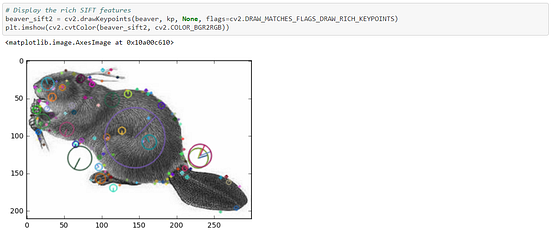 Computer Vision and Image Processing with OpenCV | by Tanvi Penumudy ...