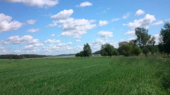 Growing Green — Finland’s Organic Advantage | by Food From Finland | Medium