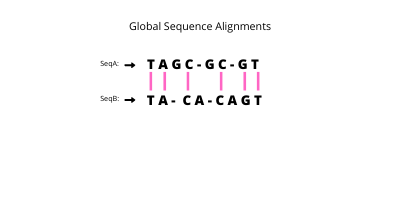 What is a Sequence alignment?. Sequence alignment helps to compare ...